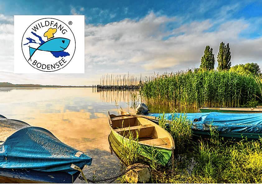 Bodenseefisch einfach erkennen | sweb